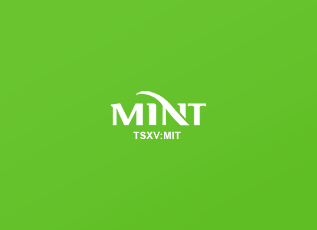 Streamlining financial management for MINT gateway L.L.C with NetSuite ... Streamlining financial management for MINT gateway L.L.C with NetSuite ...